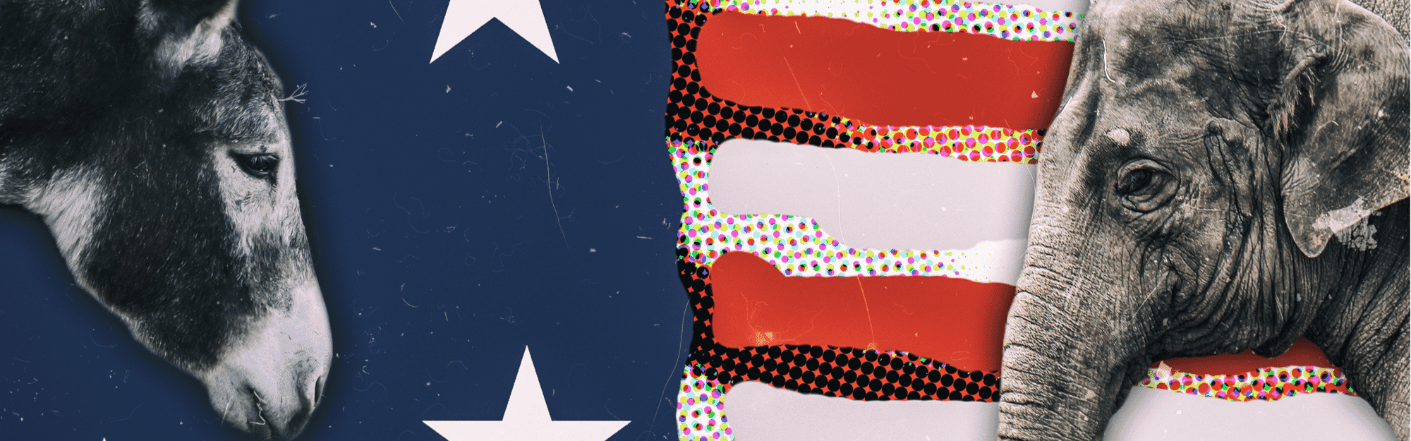 Politics on social: top sites, content trends, & fake news